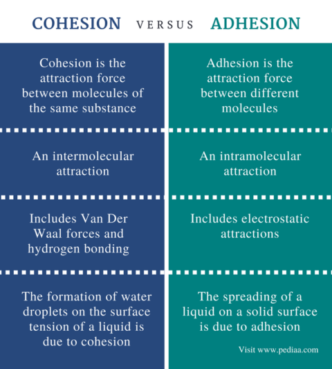 Adhesion & Cohesion - Adhesives/Sealants.org