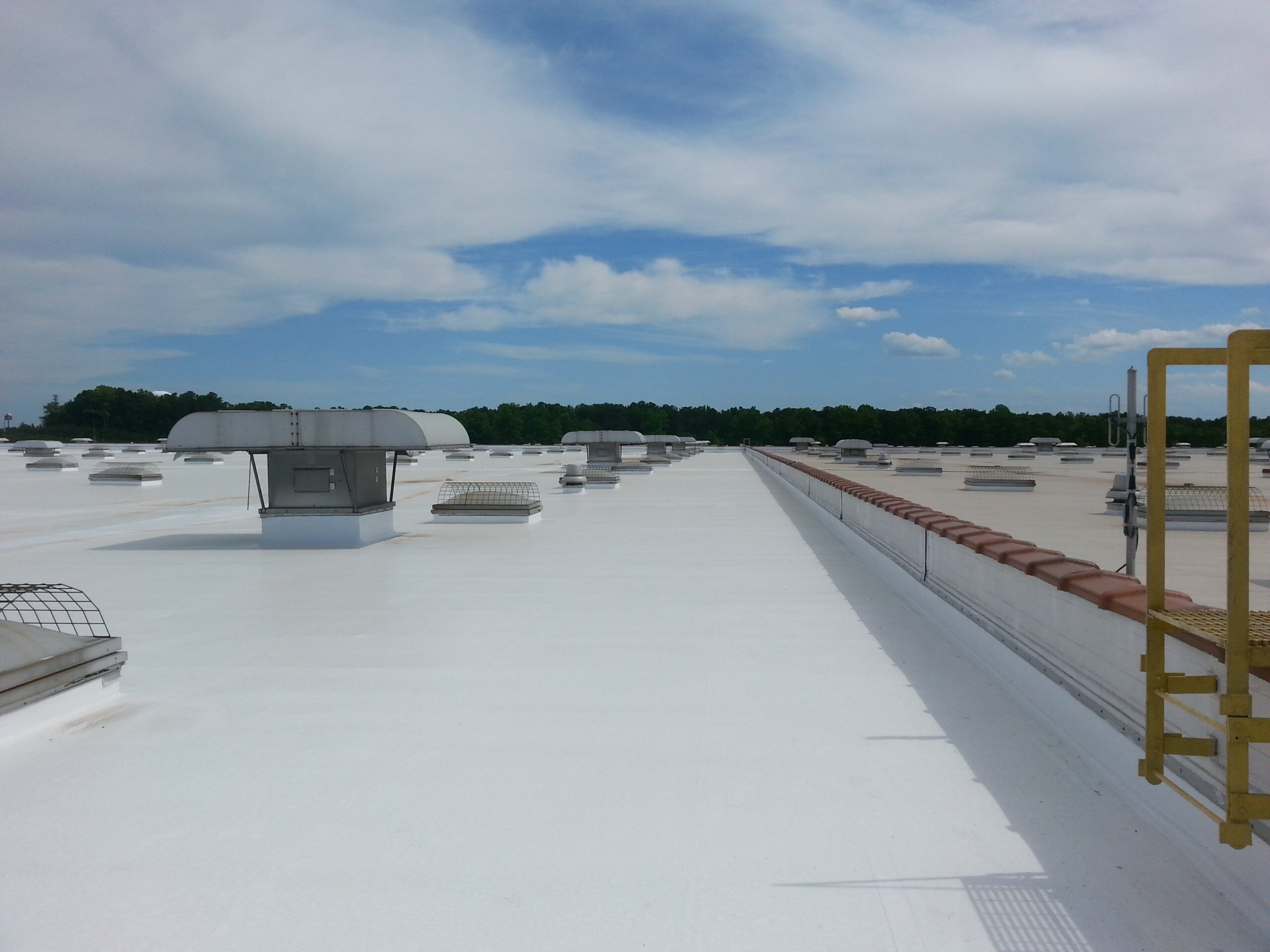 New Polymer for Reflective Roof Coatings with Improved Adhesion for ...